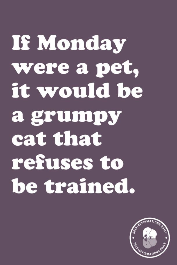 120 Funny Monday Quotes to Brighten Your Day - Self Affirmations Daily